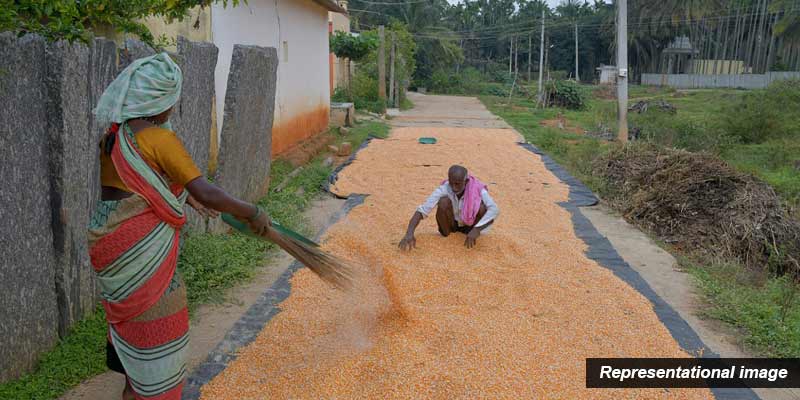 What is the role of BBSSL? | Manorama Yearbook