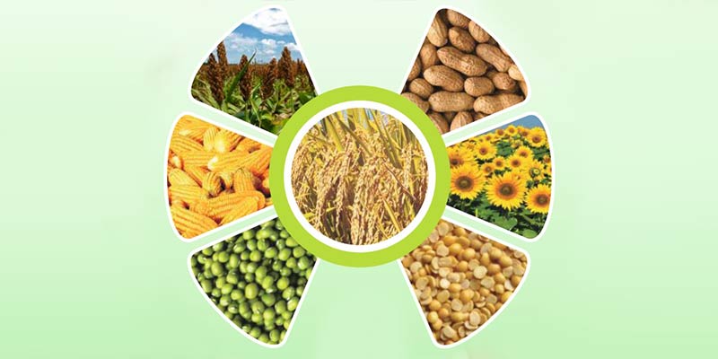 Explainer - Minimum Support Price | Manorama Yearbook