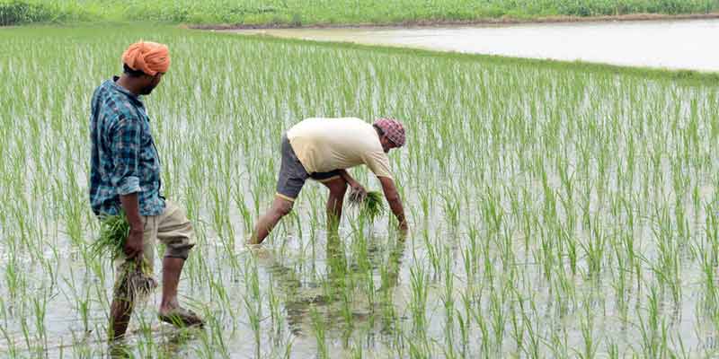 Kisan Credit Card scheme | Manorama Yearbook