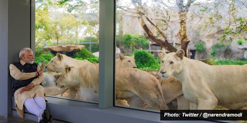 PM Modi inaugurates Vantara in Gujarat | Manorama Yearbook