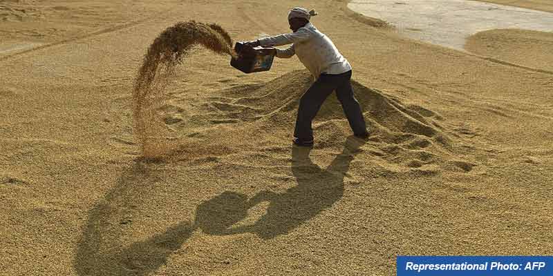 Cabinet approves hike in Minimum Support Price (MSP) for Kharif crops ...