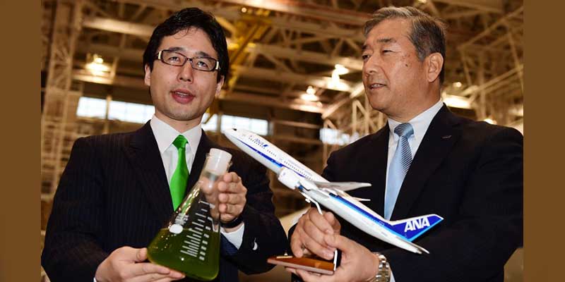 ‘Plant-based fuels commercially viable’ | petrol | aviation | renewable ...