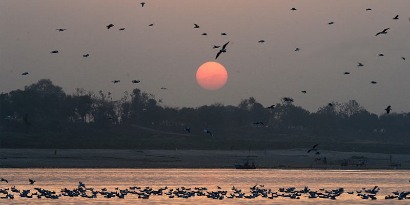 National River Conservation Plan | jal shakti | river