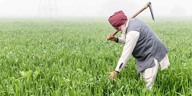 PM-KISAN mobile app introduces face authentication feature | PM Kisan ...