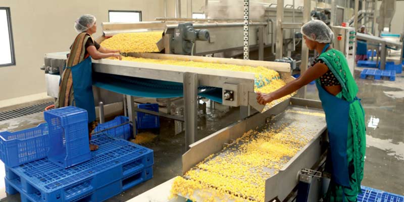 Explainer / Mega Food Park scheme | food processing | food