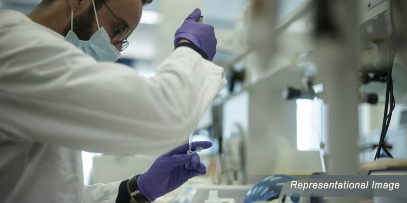 Explainer / Shigella infection | health | bacteria | shigella