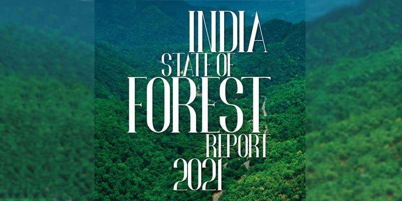 Forest, tree cover in India up by 2,261 sq km in 2 years | forest ...