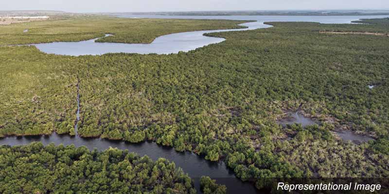 Congo creates three Marine Protected Areas | marine life | environment ...