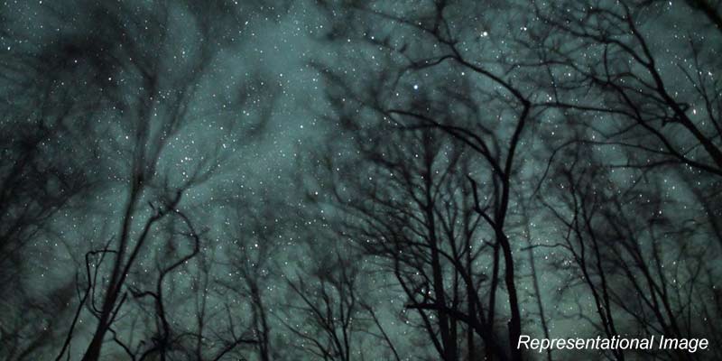 India’s first ‘night sky sanctuary’ to be set up in Ladakh | Ladakh ...