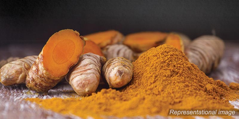 Meghalaya’s Lakadong turmeric gets GI tag | Manorama Yearbook