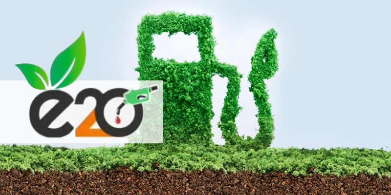 Explainer / What is E20 fuel? | petrol | fuel | sugarcane | biofuel | ethanol