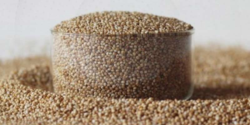 FSSAI specifies comprehensive group standard for millets | FSSAI ...