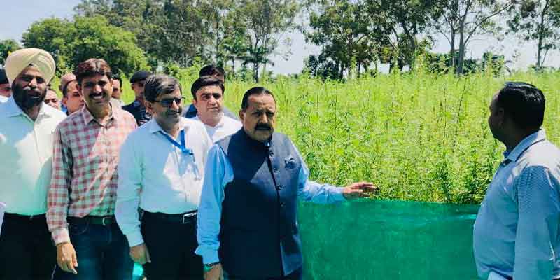 Jammu to pioneer India’s first cannabis medicine project | medicine ...