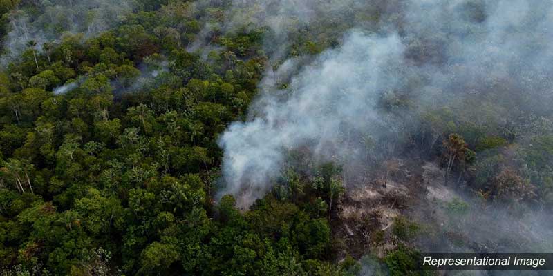 Explainer - United Nations Forum on Forests (UNFF) | Manorama Yearbook
