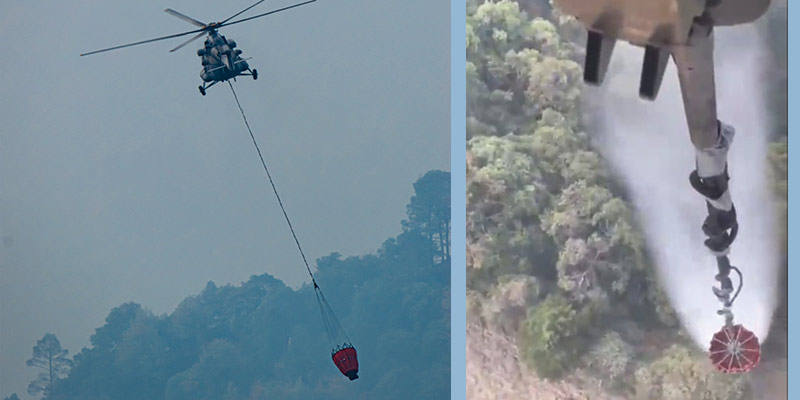 What are Bambi Buckets? | Manorama Yearbook