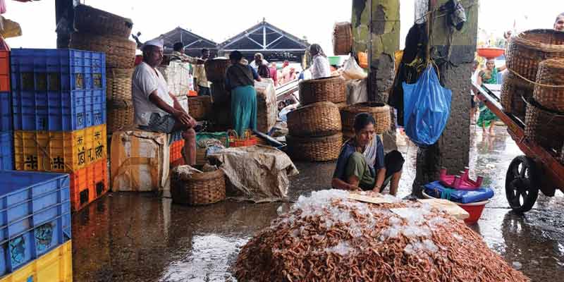 Explainer - What is the role of MPEDA? | Manorama Yearbook