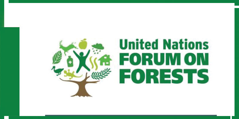 Explainer - United Nations Forum on Forests (UNFF) | Manorama Yearbook