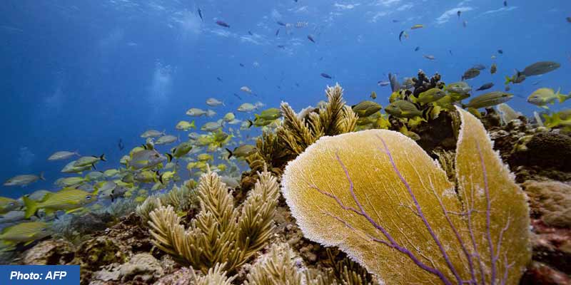 High Seas Treaty (BBNJ) enters into force | Manorama Yearbook